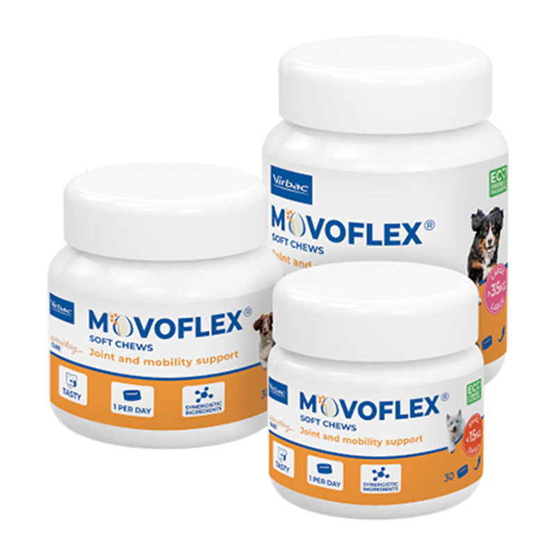 Movoflex žvakalice suplement za zglobove L 30 komada