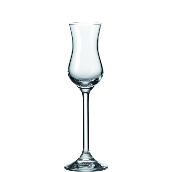 ČAŠE ZA LIKER/RAKIJU DAILY – Grappa glass DAILY