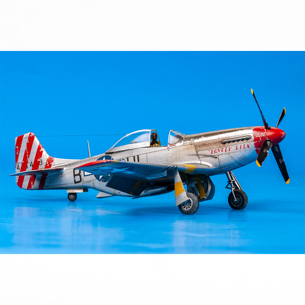 Model Kit Aircraft - 1:48 P-51D Mustang
