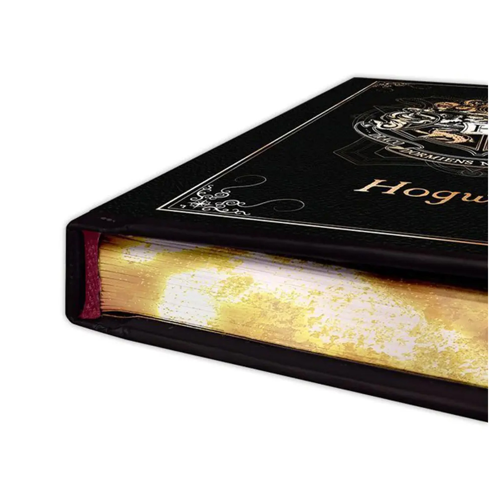 Harry Potter - Hogwarts Premium A5 Notebook