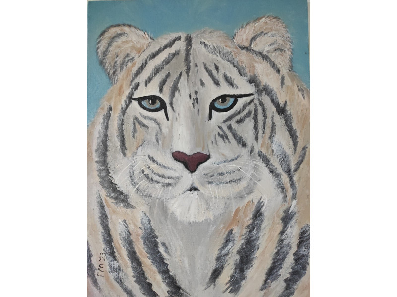 "Beli tigar" ulje na platnu 30x40cm