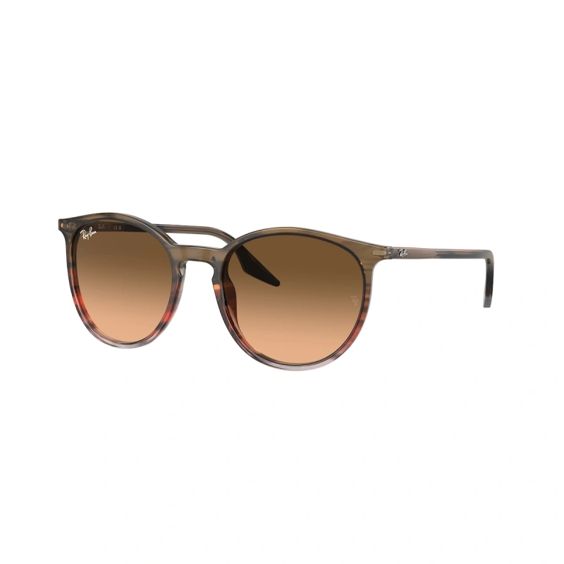 RAY BAN Sunčane naočare 0RB2204 13953B 51