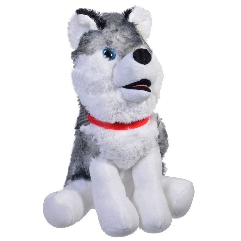 Haski pas – 30 cm