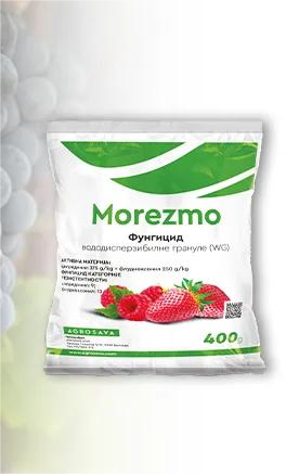MOREZMO 8G