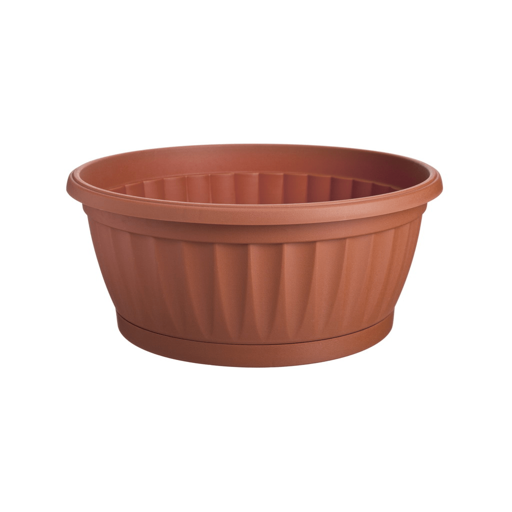 SAKSIJA MEDITERAN PLITKA FI-30 -6078-