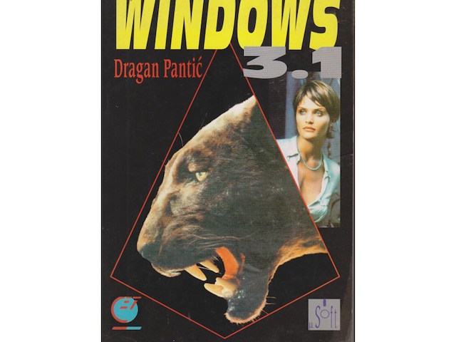 WINDOWS 3.1 / DRAGAN PERIĆ - odličnO