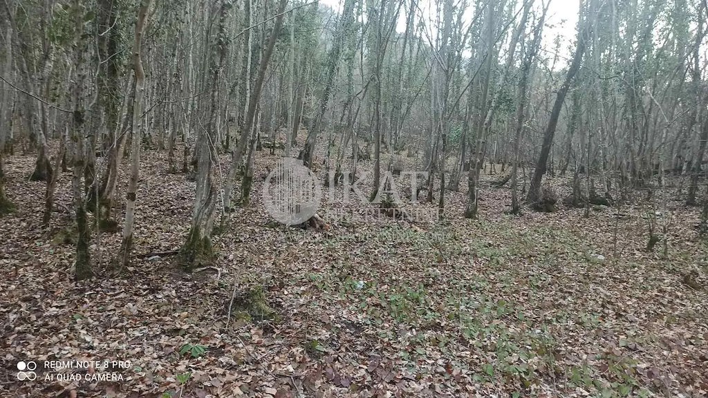 Prodaja, zemljište, 6500m2, Bajina Bašta