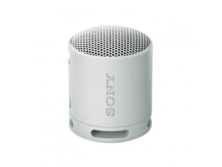 SONY SRS-XB100 Grey Bluetooth zvučnik