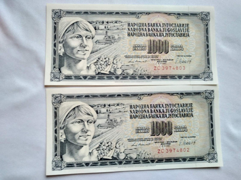 Jugoslavija 1.000 dinara,1981 god.UNC,zamenska