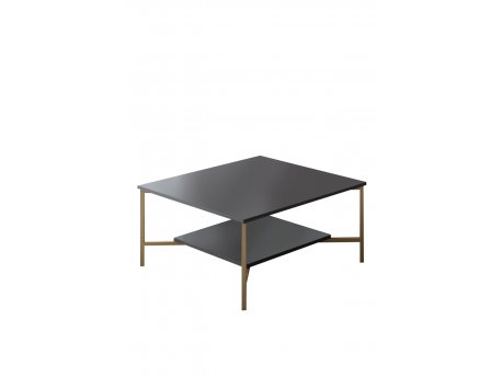 HANAH HOME Sto za dnevnu sobu Gold Line Anthracite Black