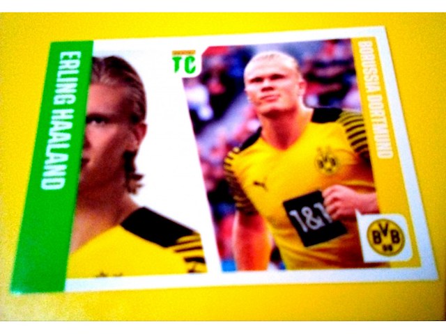 ERLING HAALAND br.279 TOP CLASS PANINI MINT