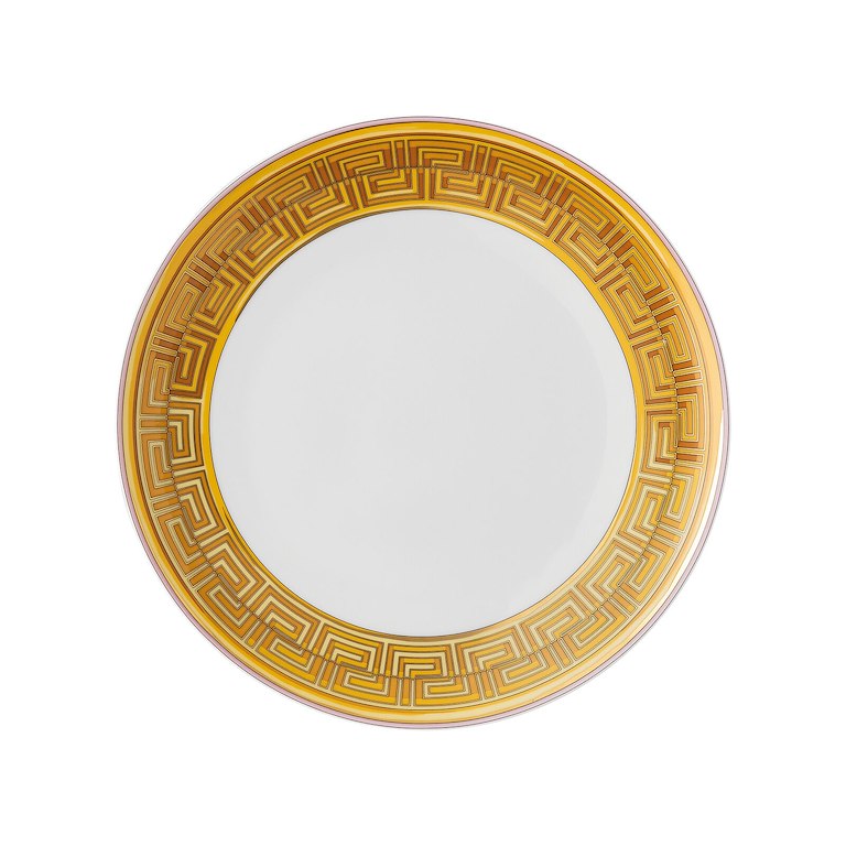 Versace Medusa Amplified Pink Coin Dinner plate – Tanjir