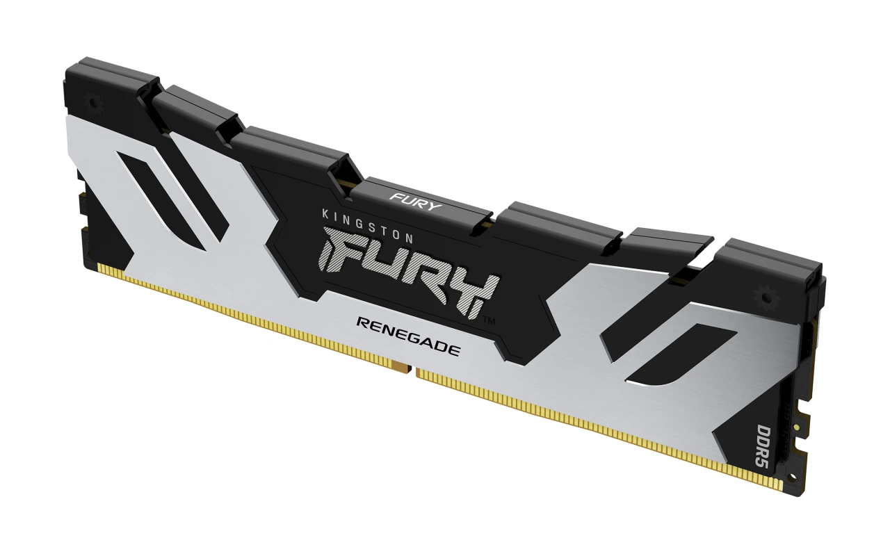 Kingston DDR5 48GB 6400MT/s Fury Renegade Silver XMP (KF564C32RS-48) memorija za desktop