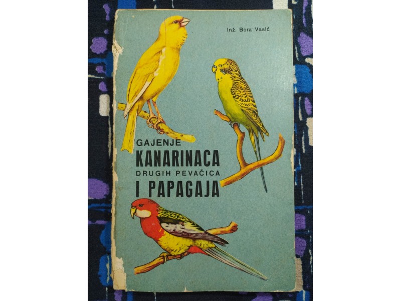 Gajenje kanarinaca i ostalih ptica pevacica Bora Vasic