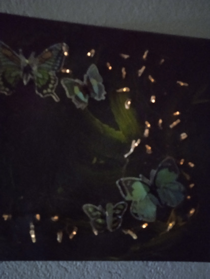 Slika leptiri u noc