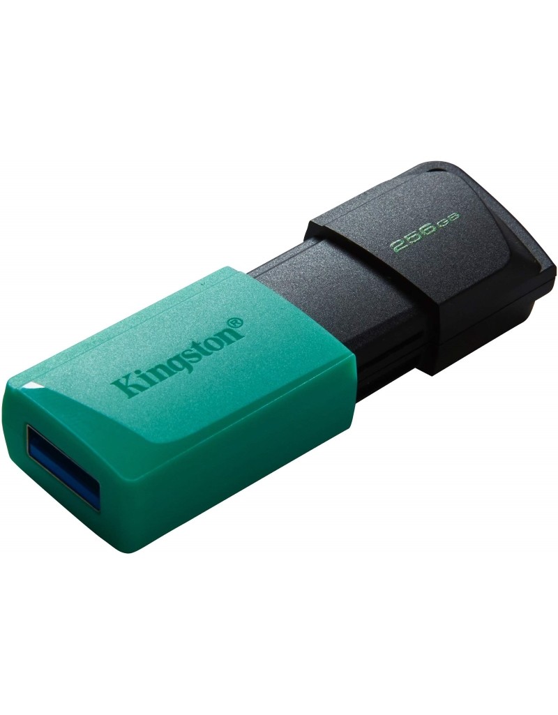 KINGSTON 256GB DataTraveler Exodia M USB 3.2 Gen1 DTXM/256GB