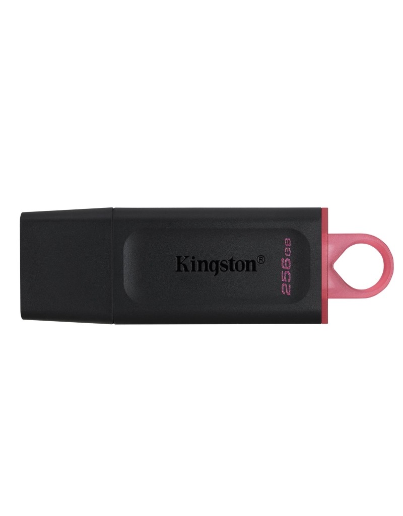 KINGSTON 256GB DataTraveler Exodia USB 3.2 Gen1 DTX/256GB