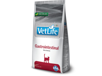 VL ND Cat Gastro Intestinal 2kg