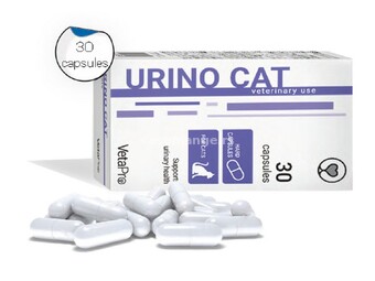 URINO CAT 30 capsules 1cap=250mg