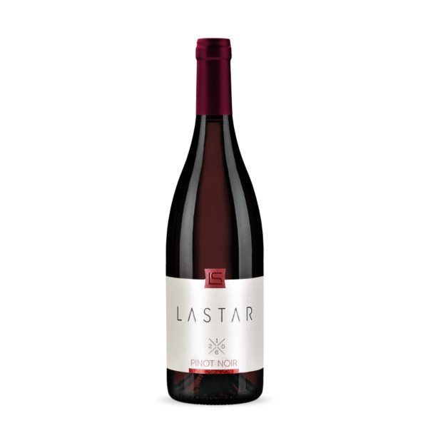 PINOT NOIR LASTAR