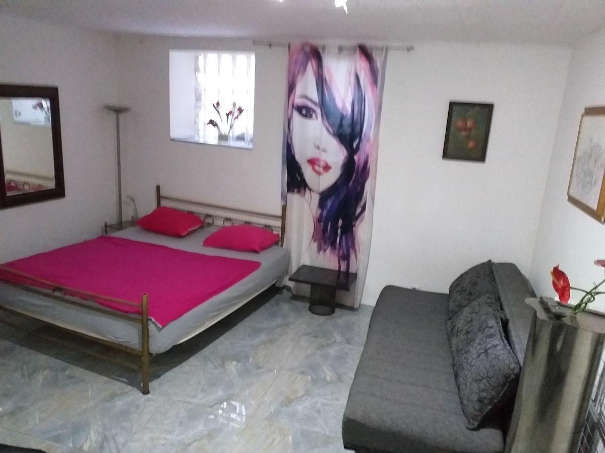 IZDAVANJE, BRANKOVA ULICA, 35M2, CENTAR