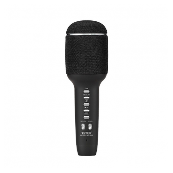 Mikrofon karaoke + zvucnik WS-900 crni