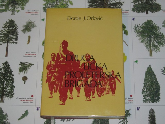 DRUGA LIČKA PROLETERSKA BRIGADA