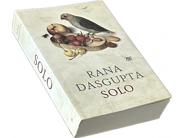 Rana Dasgupta-Solo