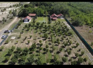 Prodaja Kuća - Subotica