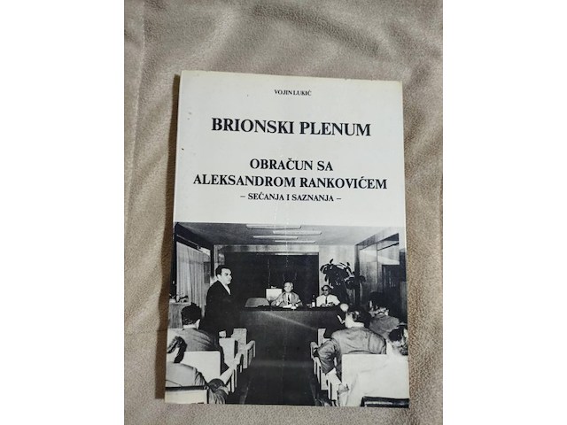 Brionski plenum,Obračun sa Rankovićem,Vojin Ilić