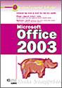 OFFICE 2003: ZA 24 ČASA - Greg Perry