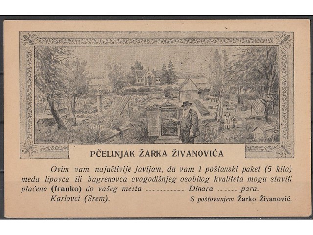 Sremski Karlovci - Pcelinjak Zarka Zivanovica