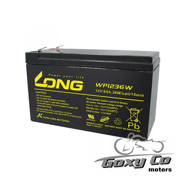 Baterija Long WP1236W 12V 9Ah