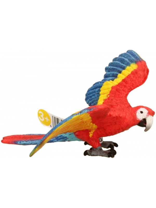 Macaw