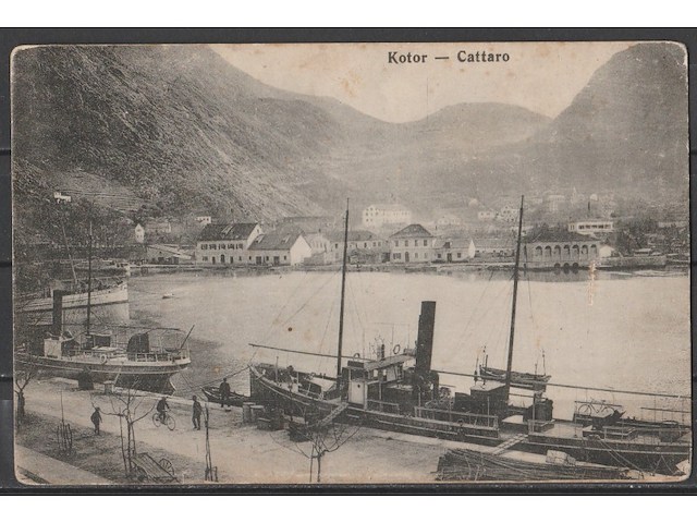 Kotor