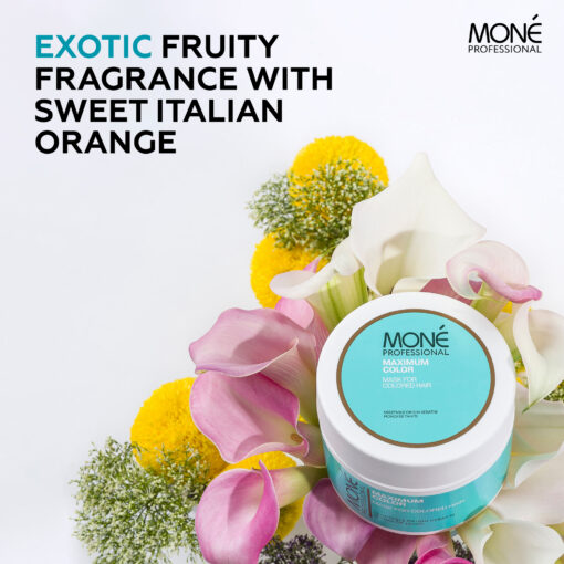 Moné Maximum Color Hair Mask – 300ml