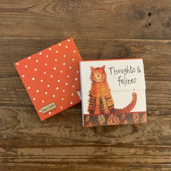 Alex Clark notepad MM Thoughts and Felines Ginger Cat 10176