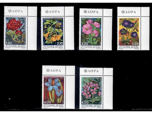 FLORA 1975 SA RANDOM