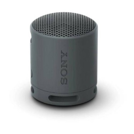 Sony SRS-XB100H (sivi)