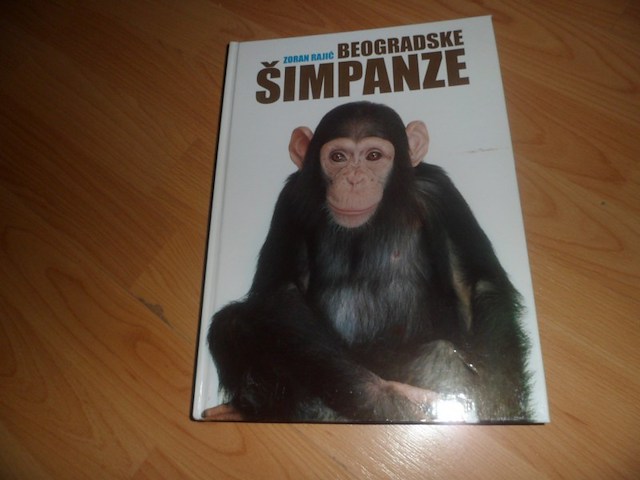 Beogradske šimpanze - Zoran Rajić