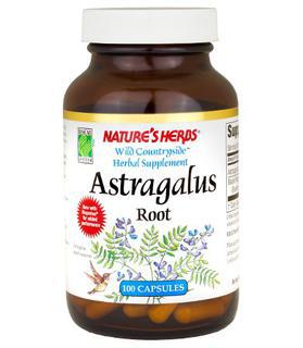 Kozinac - Astragalus Root / 100 kapsula