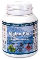 Algine Plus