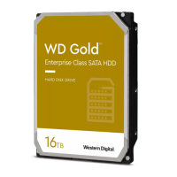16 TB Western Digital WD161KRYZ 3.5"