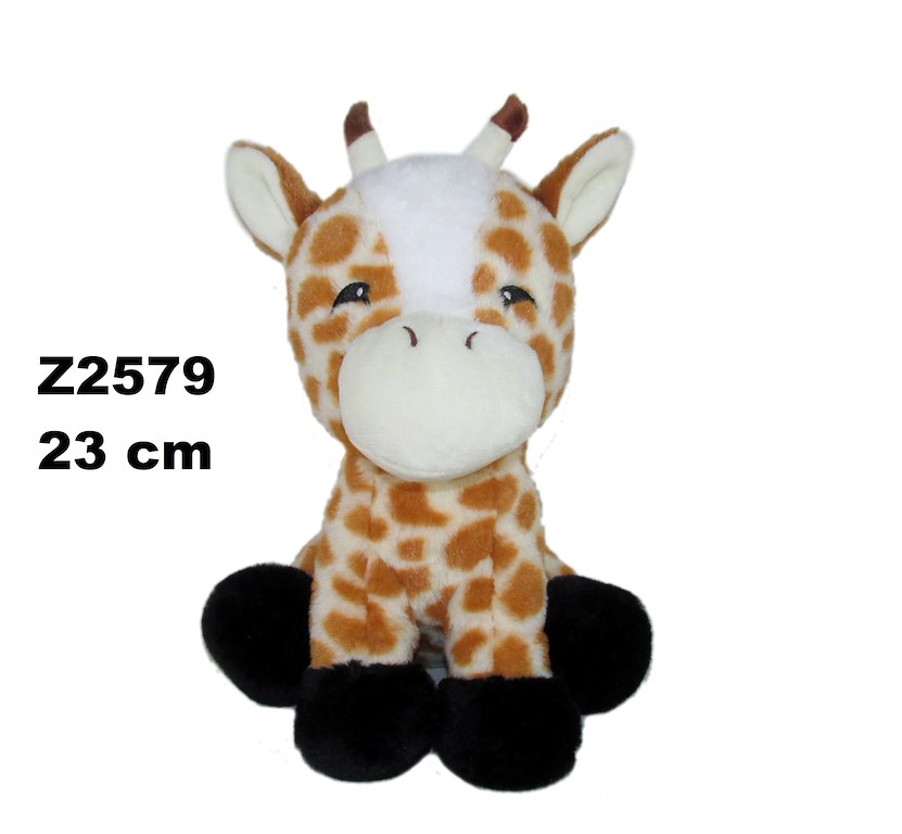 Žirafa 164742