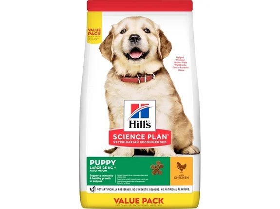 Hills Science Plan Hrana za pse sa piletinom Puppy Large Breed 14,5 kg
