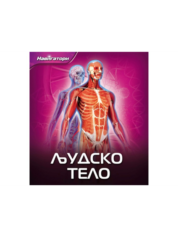 Ljudsko telo