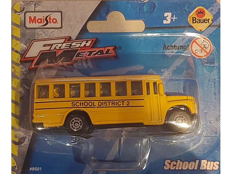 SCHOOL BUS