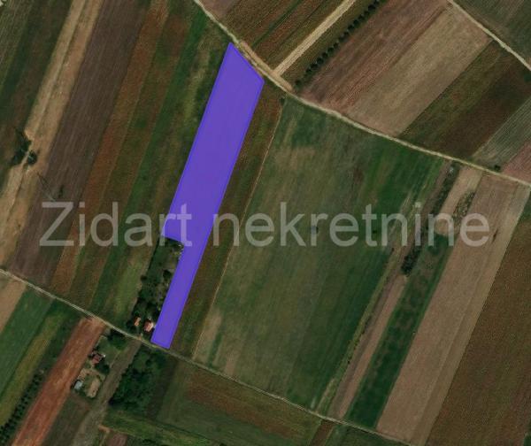 Žarkih suncokreta Građevinsko zemljište na prodaju, Boljevci, 250.000€