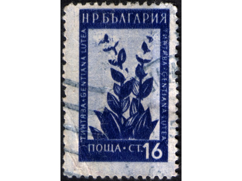 kt595k 30.okt1953 Bulgarija Mi877(-o-)1/14