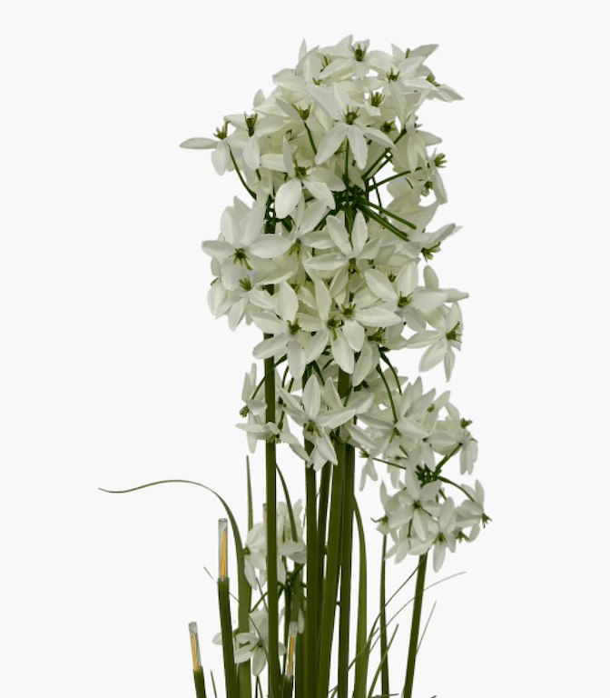 AVATAR Veštačko cveće – led belo